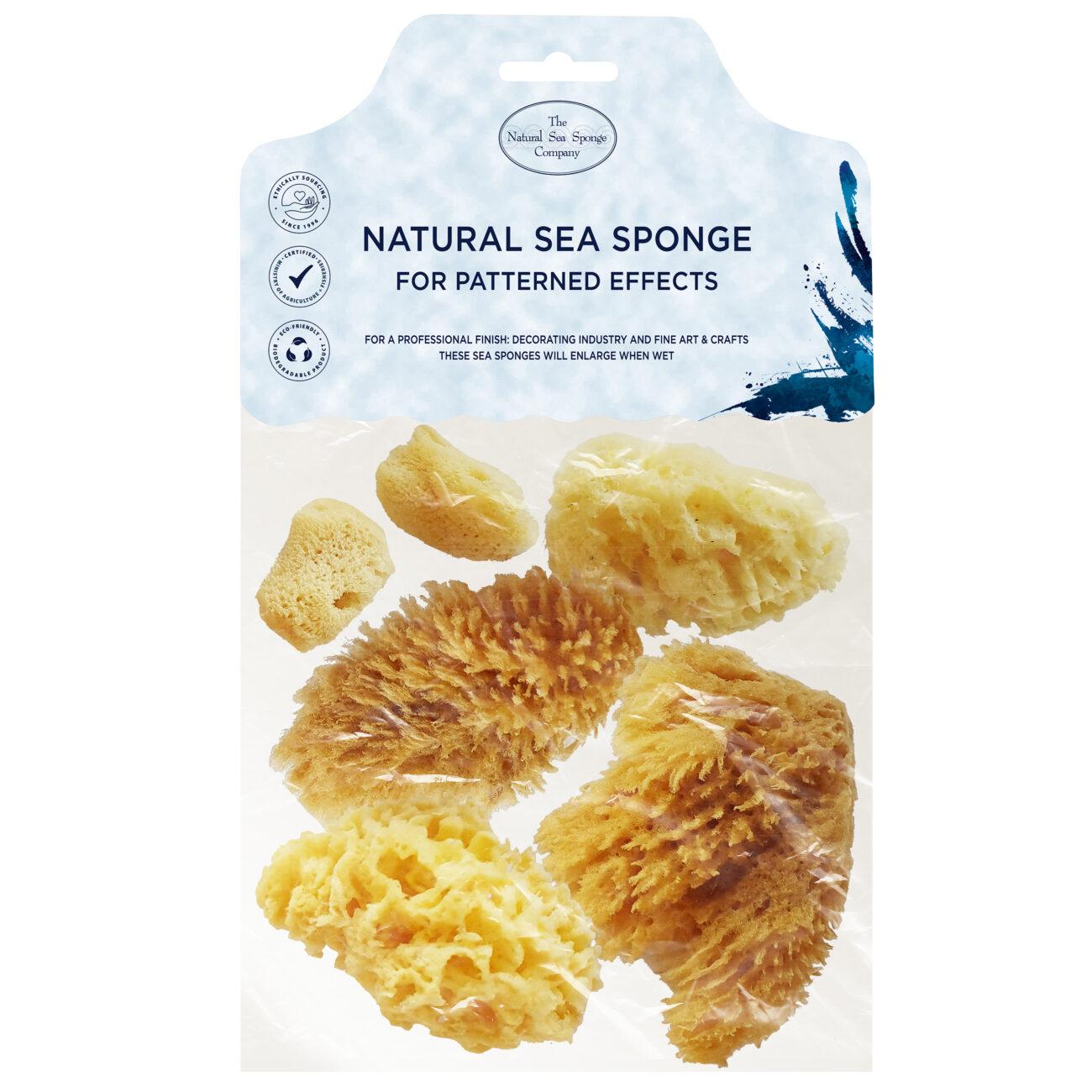 ARTISTS NATURAL SEA SPONGE KIT - Hydrealondon